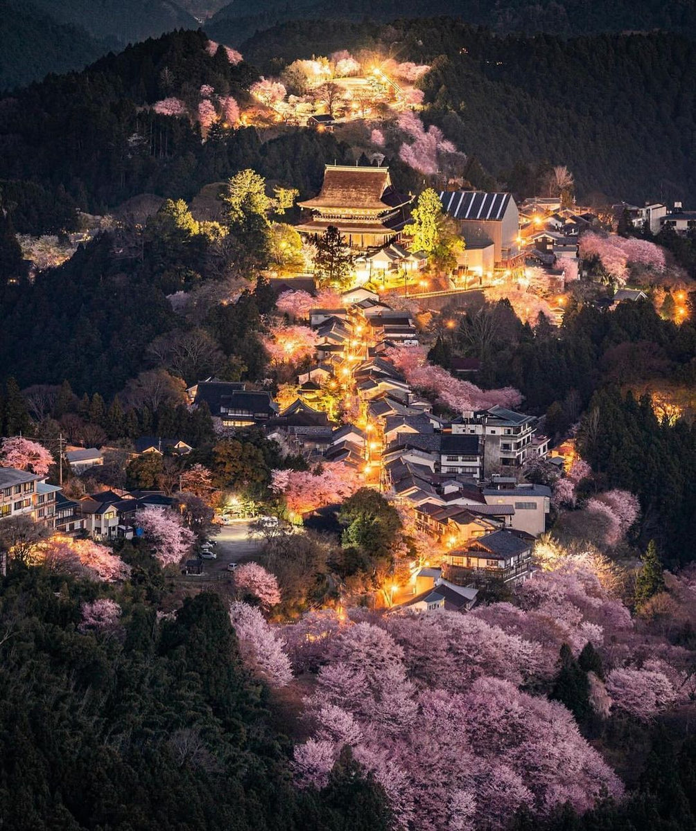 Asia Bucket List And Wonderful Travel Destinations To Travel To This 2 ...